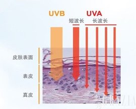 UVA/UVB_360百科