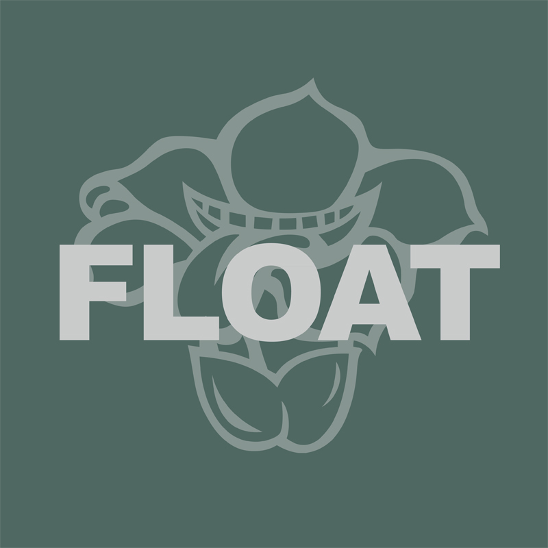 FLOAT图册_360百科