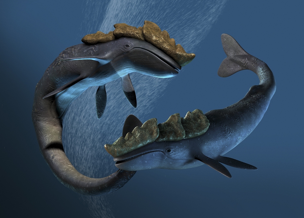 利维坦图册_360百科