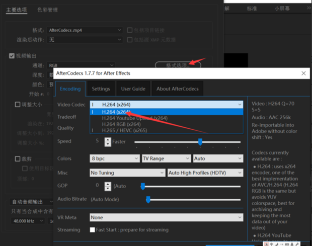 AE渲染输出mp4格式-mov格式-H.264视频编码讲解_360新知