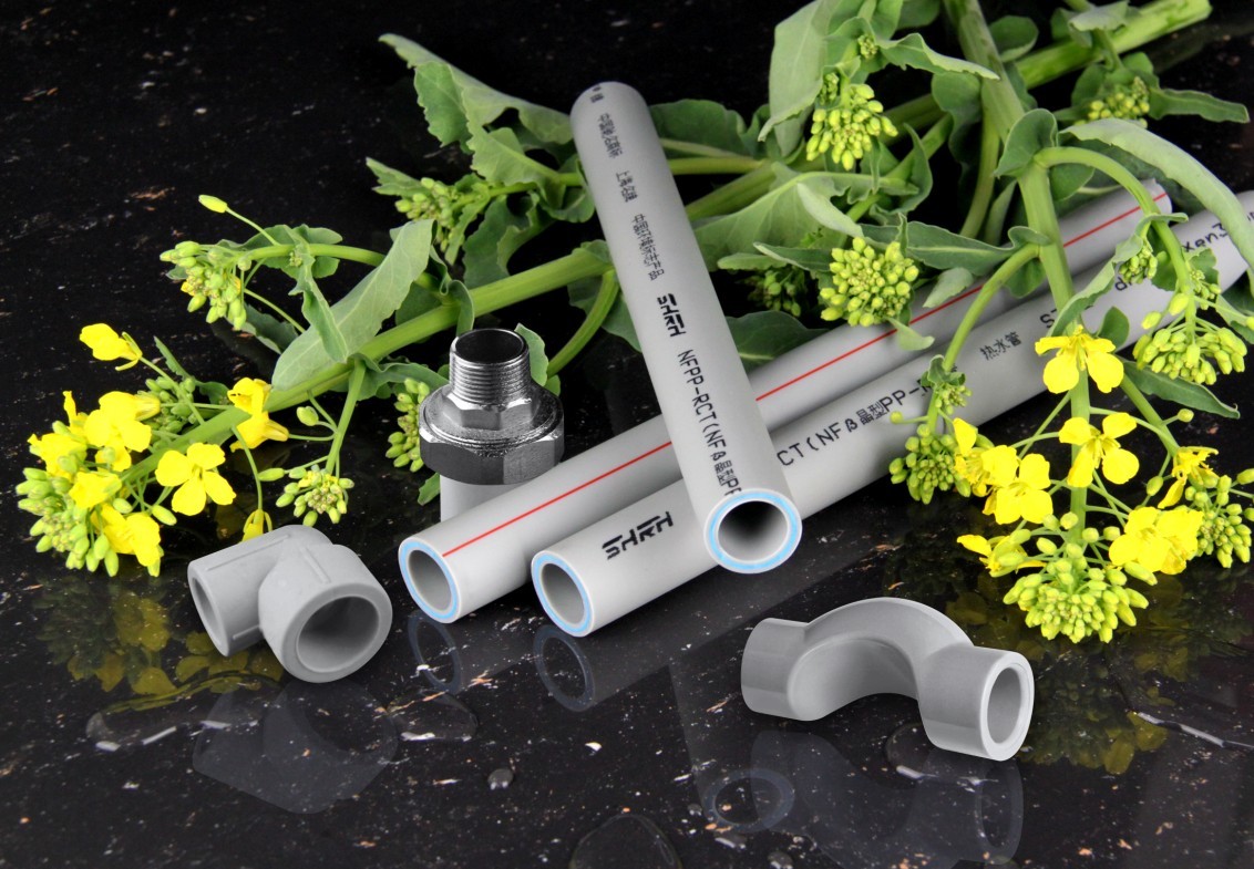 NFPP-RCT图册_360百科