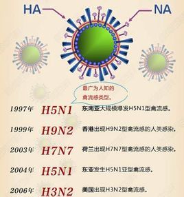 H9N2图册_360百科