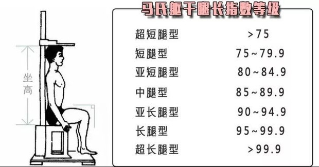 判断腿长的三个标准图解360新知