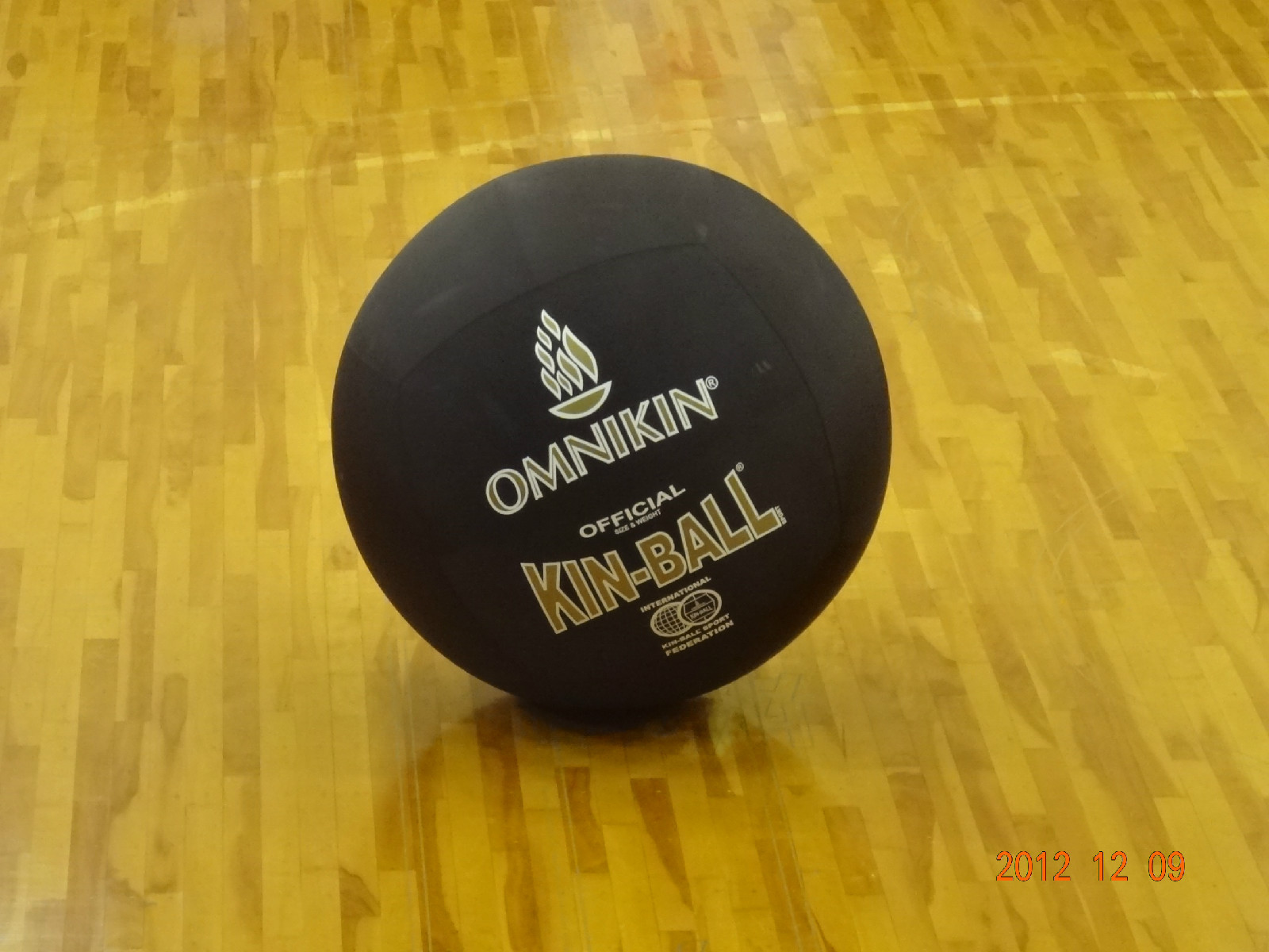 KIN-BALL图册_360百科