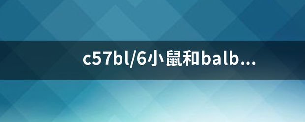 c57bl/6小鼠和balb/c小鼠的区别 – 960化工网问答