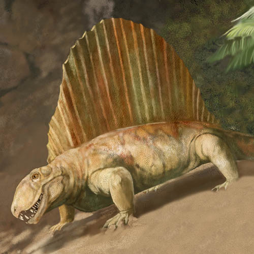 克色氏龙图册_360百科