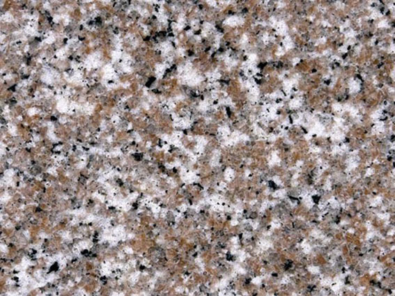 G663图册_360百科