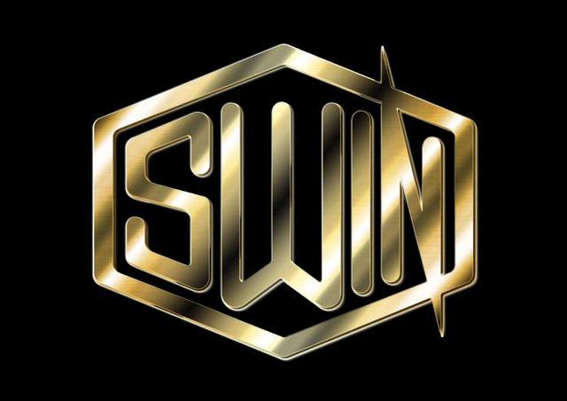 SWIN-S图册_360百科