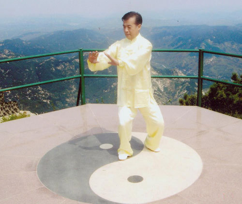 赵堡太极拳图册360百科