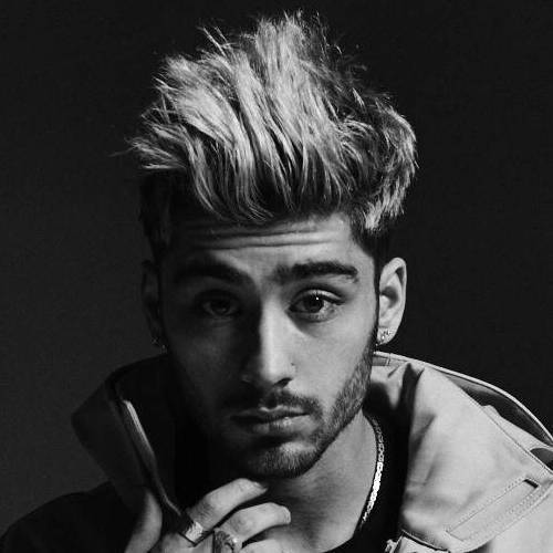 zaynmalik图册_360百科