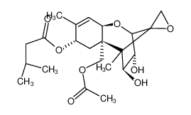 HT-2 毒素图册_360百科
