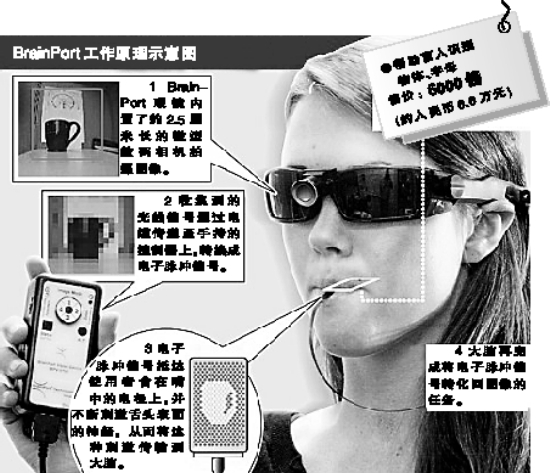 BrainPort图册_360百科