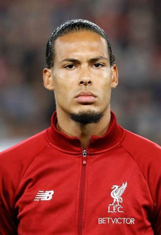 维吉尔·范迪克图册_360百科