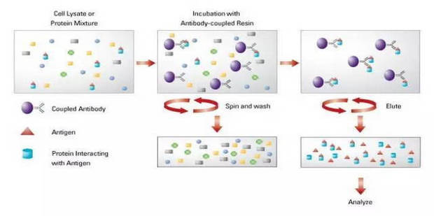 coip原理及实验步骤_360新知