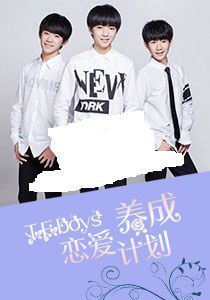 tfboys恋爱养成计划图册_360百科