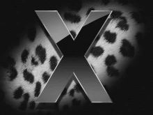 Mac OS X Leopard图册_360百科
