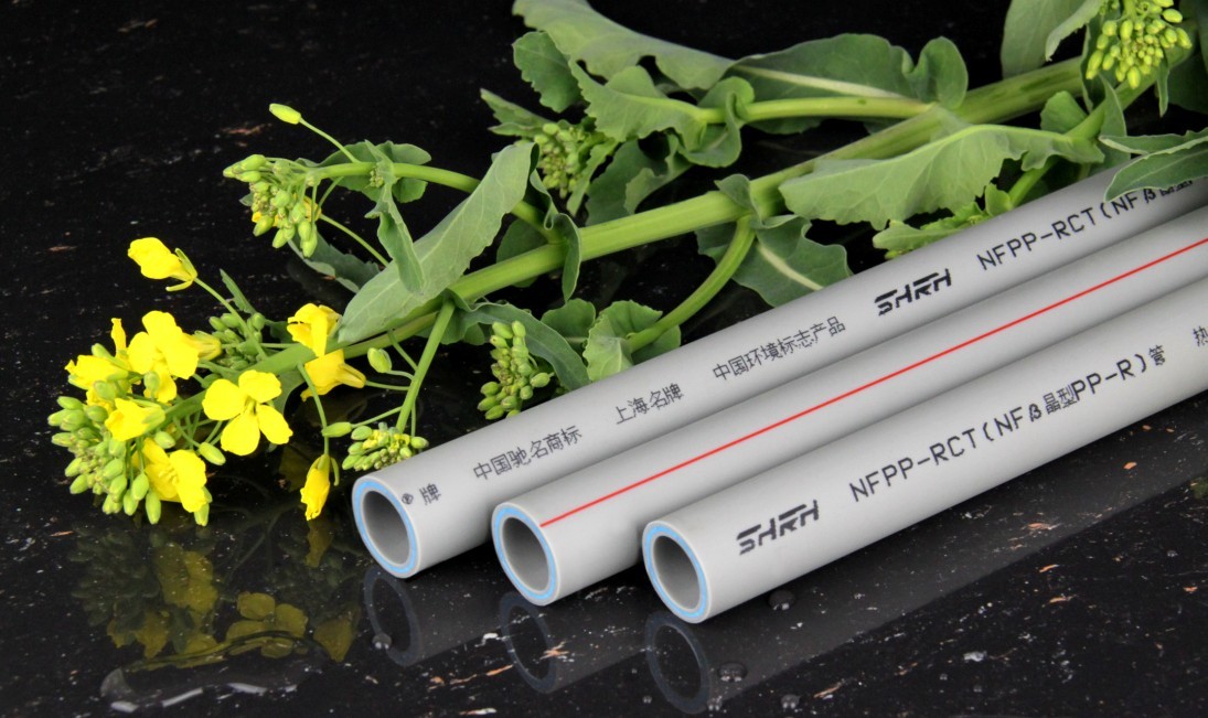 NFPP-RCT图册_360百科