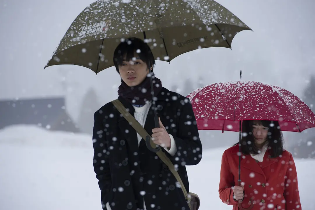 三角草的春天图册_360百科