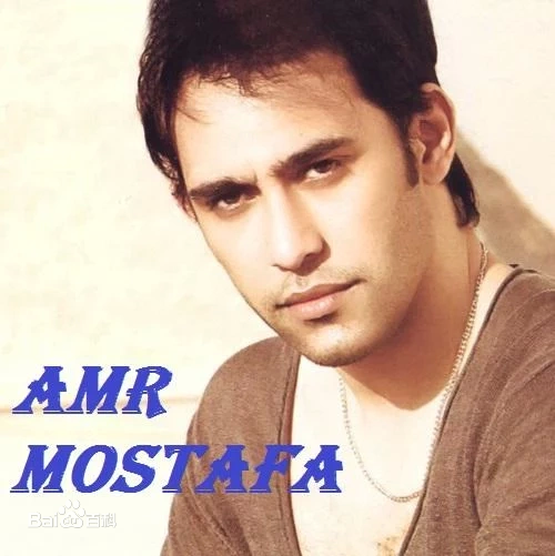 Amr Mostafa_360百科