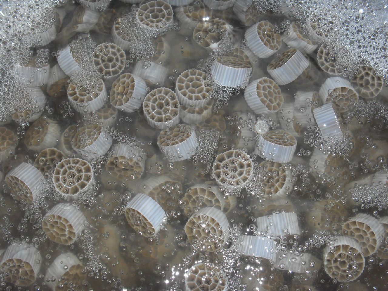 MBBR填料图册_360百科