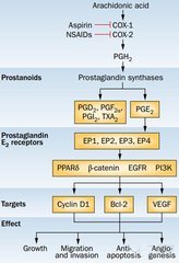 PIK3CA图册_360百科