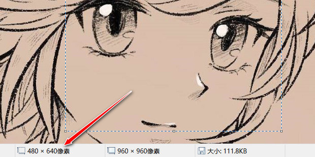 照片宽480px高640px_360新知