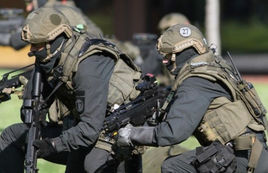 gsg-9图册_360百科