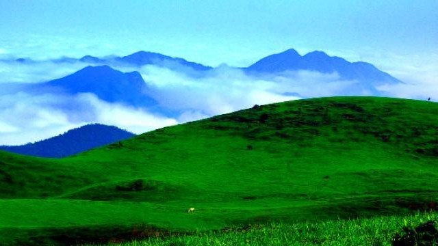 郴州仰天湖大草原图册360百科