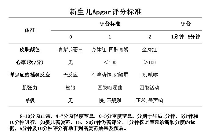 apgar评分图册_360百科