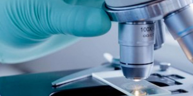 正确使用显微镜的七个步骤_360新知