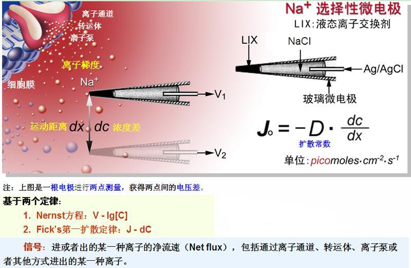 NMT图册_360百科