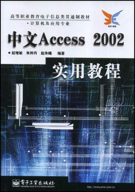 中文Access 2002实用教程图册_360百科