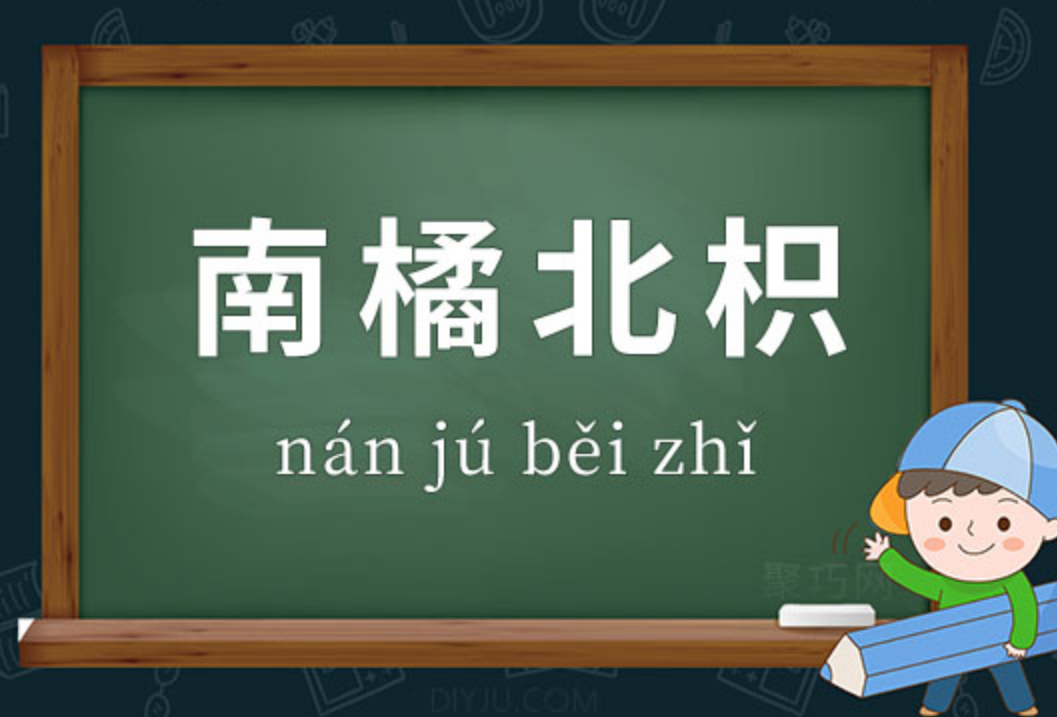 南橘北枳图册360百科
