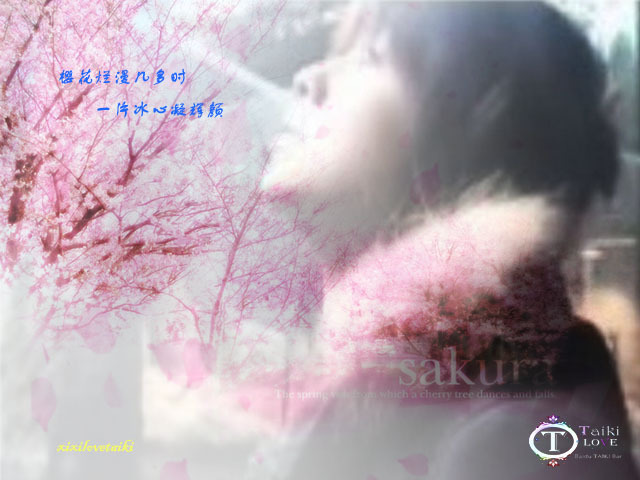 taiki图册_360百科