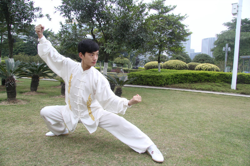 温县太极拳图册360百科