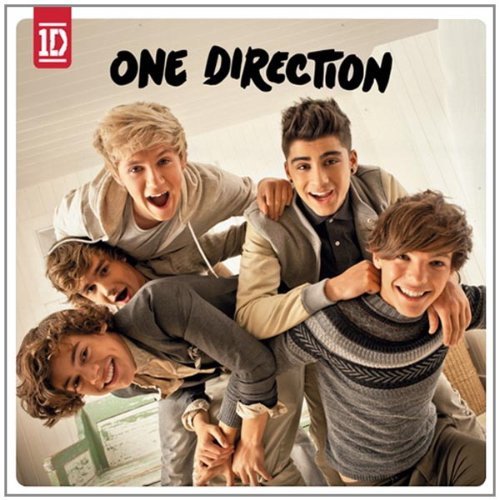 One Direction_360百科