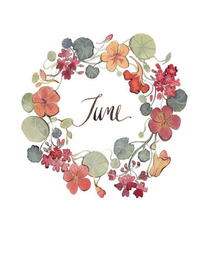 june图册_360百科