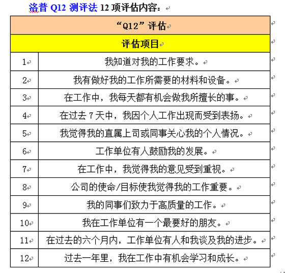 盖洛普Q12测评法图册_360百科