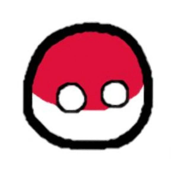 波兰球图册_360百科