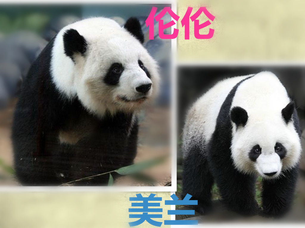伦伦图册360百科