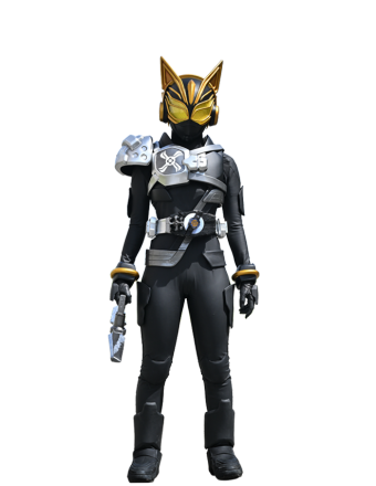 假面骑士极狐图册_360百科