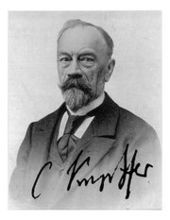 肝星状细胞图册_360百科