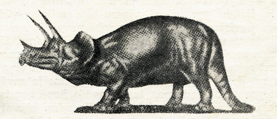 碎嘴龙图册_360百科