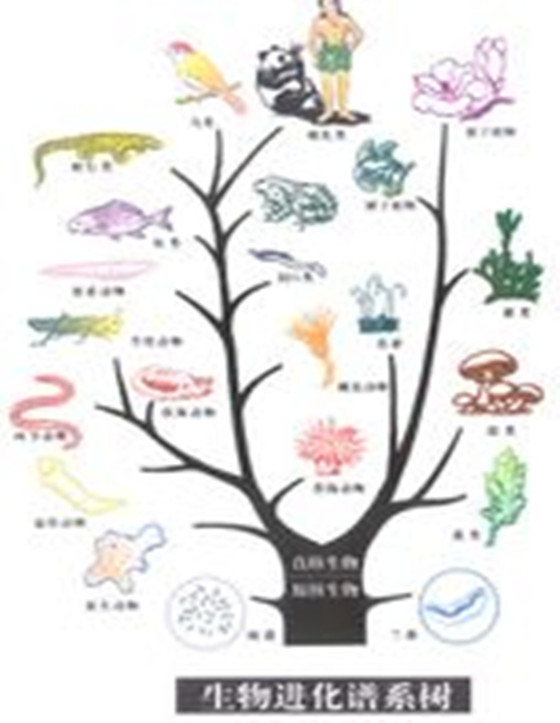 进化生物学图册360百科