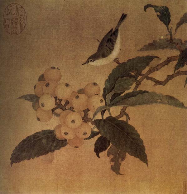 枇杷山鸟图图册_360百科