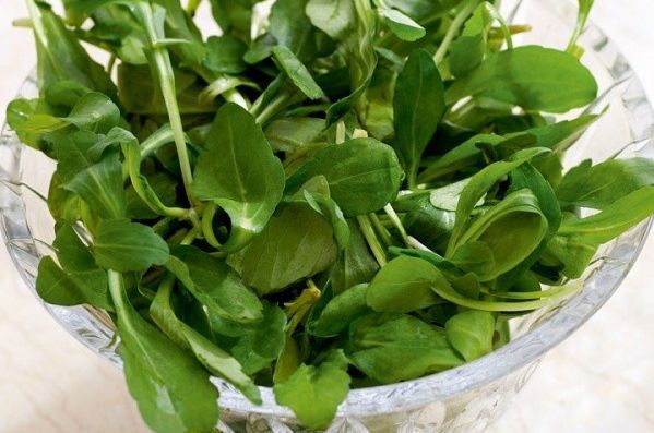 马兰图册_360百科