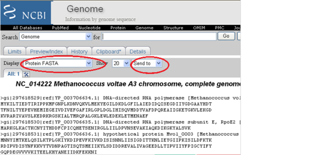ncbi中查找基因序列的方法和三个号码_360新知