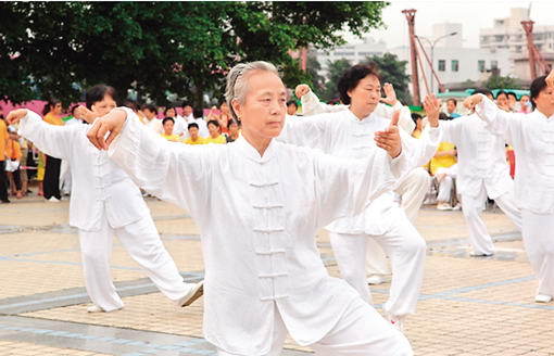 舞太极图册360百科