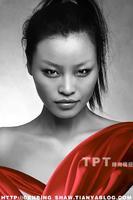 FIDO图册_360百科