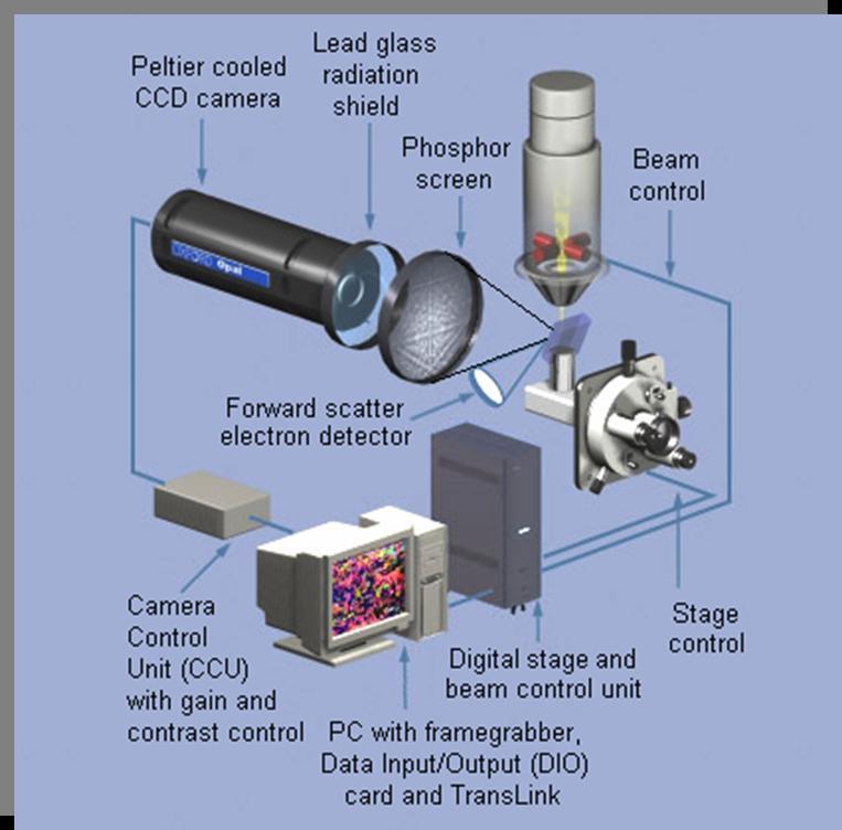 ebsd图册_360百科